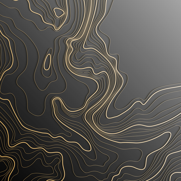 Everly Quinn Tamio Topographic Map Concept On Canvas by Ðœð°Ðºñ Ð¸Ð¼ Ð˜Ð²Ð°Ñ Ñžðº Print | Wayfair